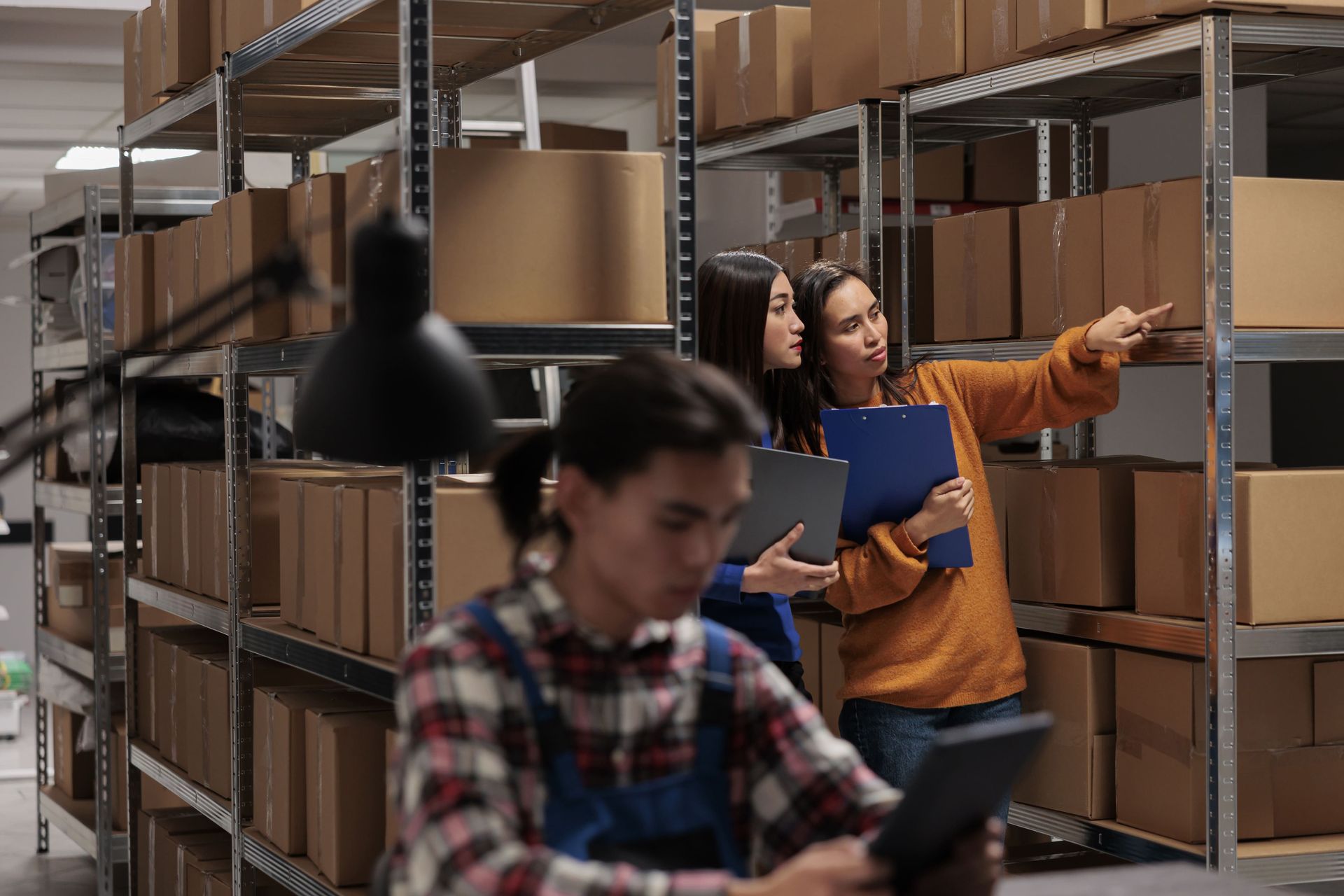 Codification vs Classification: Which is More Effective? | Panemu ...